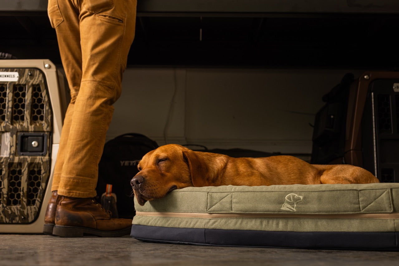 Behind the Design: GUNNER’s Homestead Dog Bed