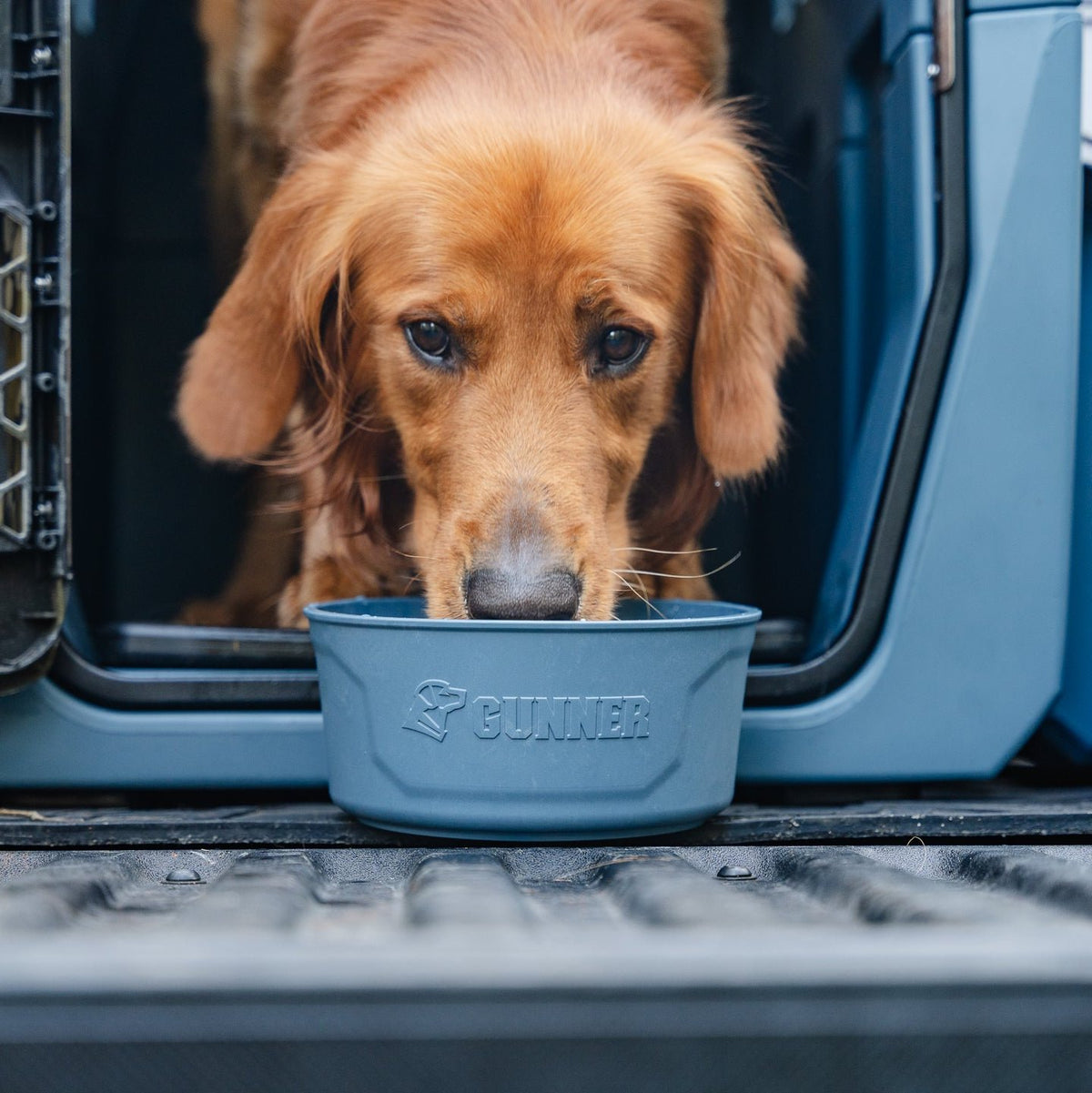 GUNNER DOG BOWLS