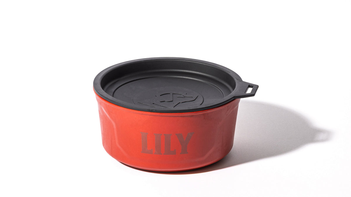 Personalized GUNNER Dog Bowl | Food and Water