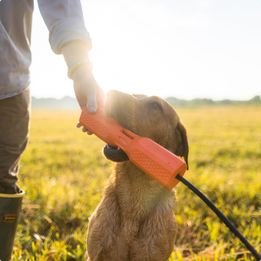 GUNNER Dog Bumper | Premium Gundog Training Tool | Retrieving Dummies