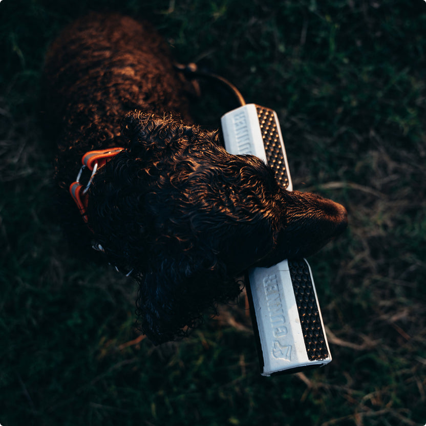 GUNNER Dog Bumper | Premium Gundog Training Tool | Retrieving Dummies