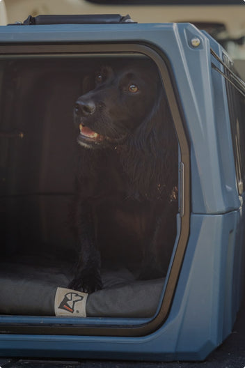 GUNNER | The Safest Dog Kennels | Man's Best Friend