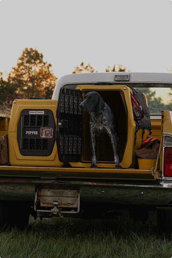 GUNNER | The Safest Dog Kennels | Man's Best Friend