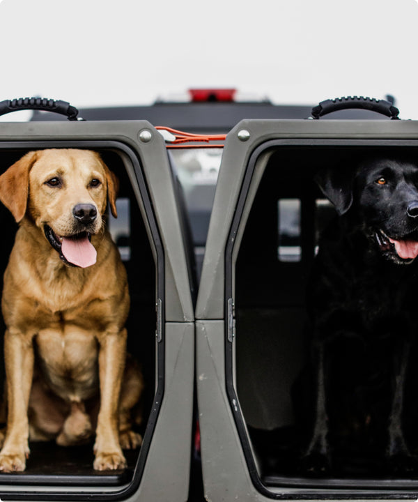 Which GUNNER Kennel Size Do I Need?