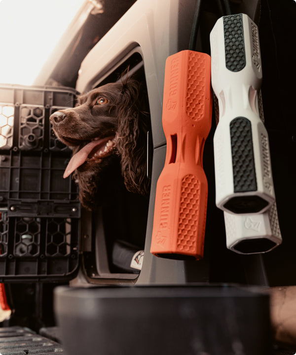 Which GUNNER Kennel Size Do I Need?