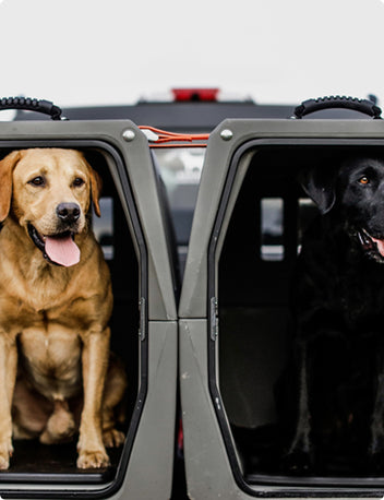 GUNNER Dog Bumper | Premium Gundog Training Tool | Retrieving Dummies