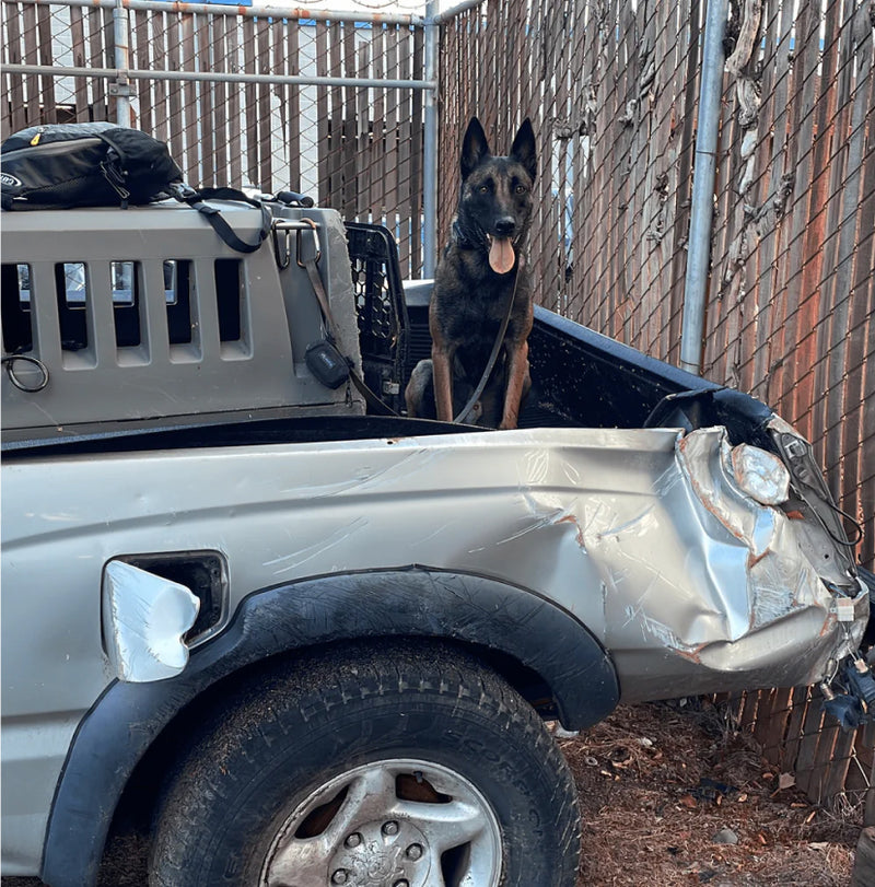 Shop GUNNER Wear | Branded Apparel | GUNNER