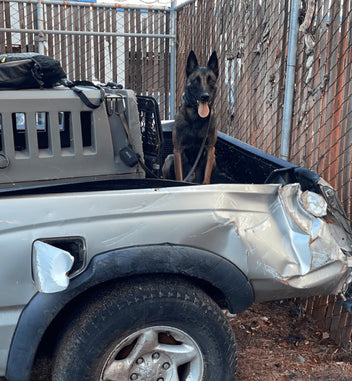 GUNNER Dog Bumper | Premium Gundog Training Tool | Retrieving Dummies