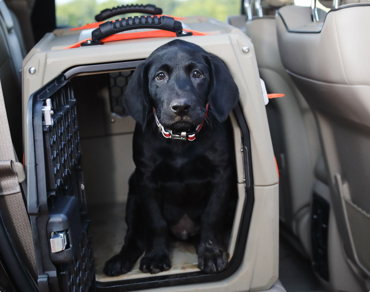 GUNNER Dog Crate | Crash Tested Travel | GUNNER Kennels