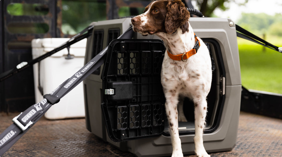 GUNNER Dog Crate | Crash Tested Travel | GUNNER Kennels