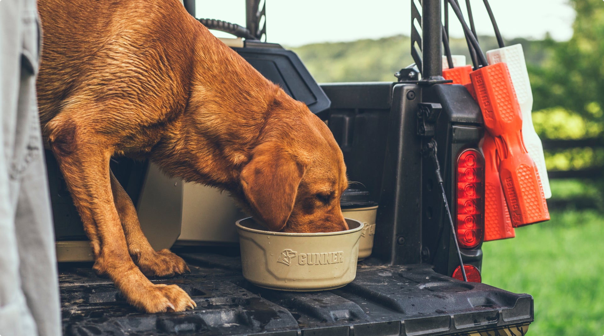 Personalized GUNNER Dog Bowl | Food and Water