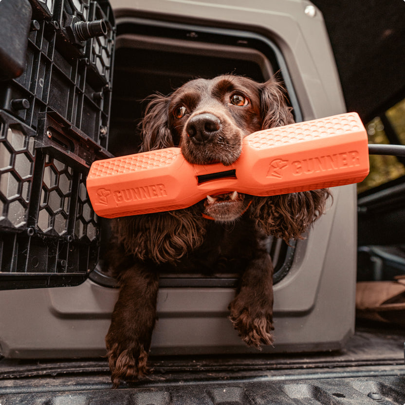 GUNNER Dog Crate | Crash Tested Travel | GUNNER Kennels