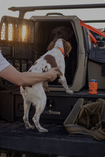 GUNNER | The Safest Dog Kennels | Man's Best Friend