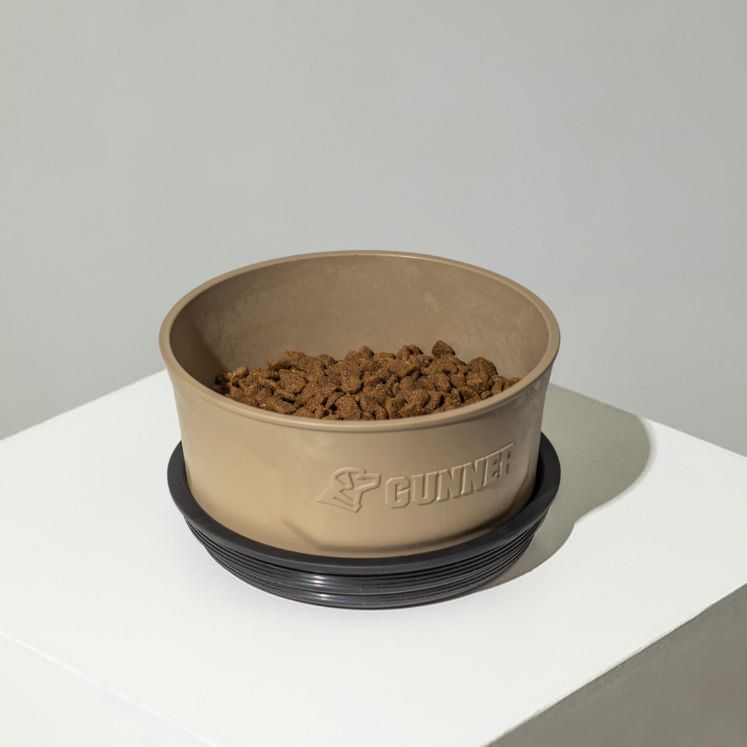 Personalized GUNNER Dog Bowl | Food and Water